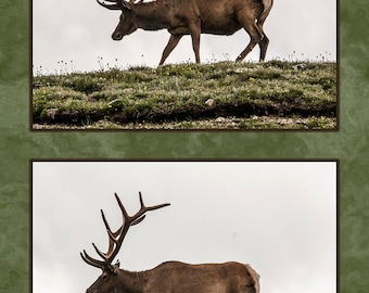 Elk Quilt Panel - Etsy