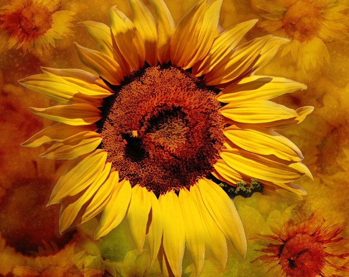 Abstract SUNFLOWER QUILT PANEL and Digitally Printed - Etsy