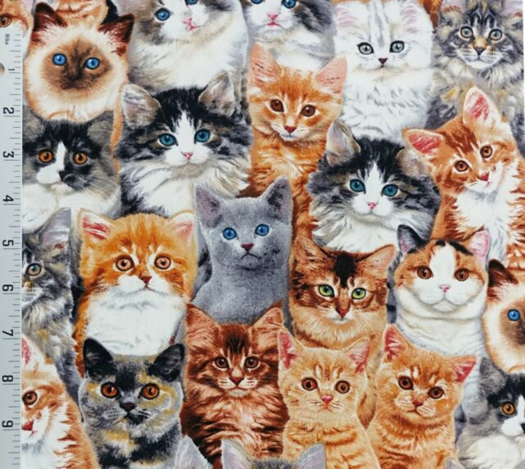 Elizabeth Studios Adorable Pets Packed Cats - All Colors and Sizes of ...