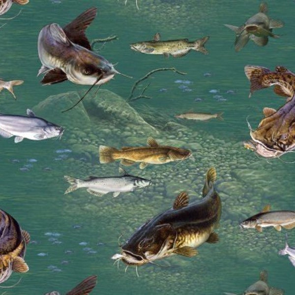 Catfish Print - Etsy