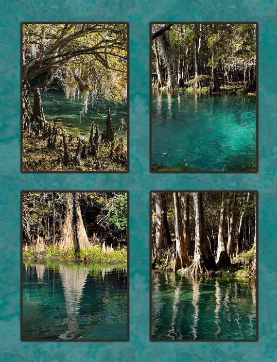 FLORIDA MANATEE Springs Quilt Panel Actual Photography Taken - Etsy