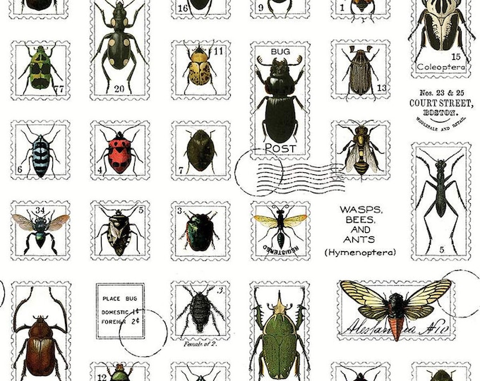 Riley Blake Designs Art Journal Bug Post Multi by J Wecker Frisch White ...