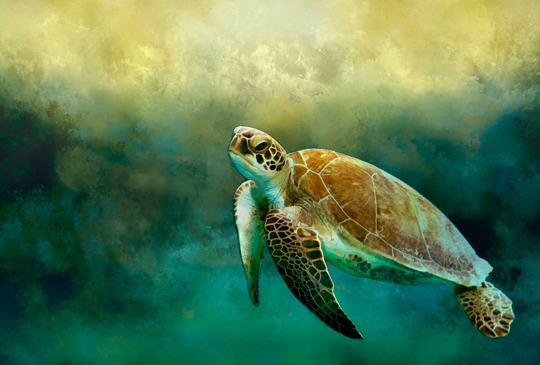 SEA TURTLE Quilt Panel Digitally Printed - Etsy