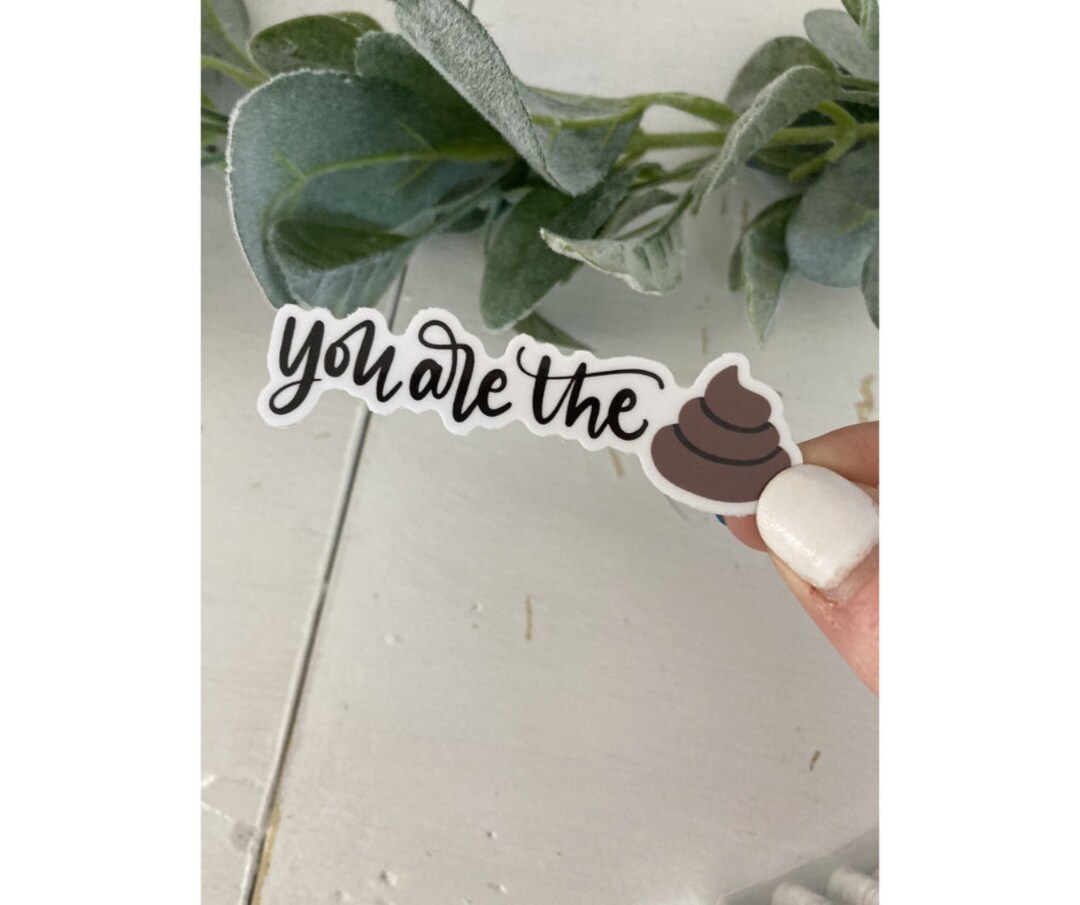 You Are the Sh Sticker / Sticker / Funny Sticker / Sassy - Etsy