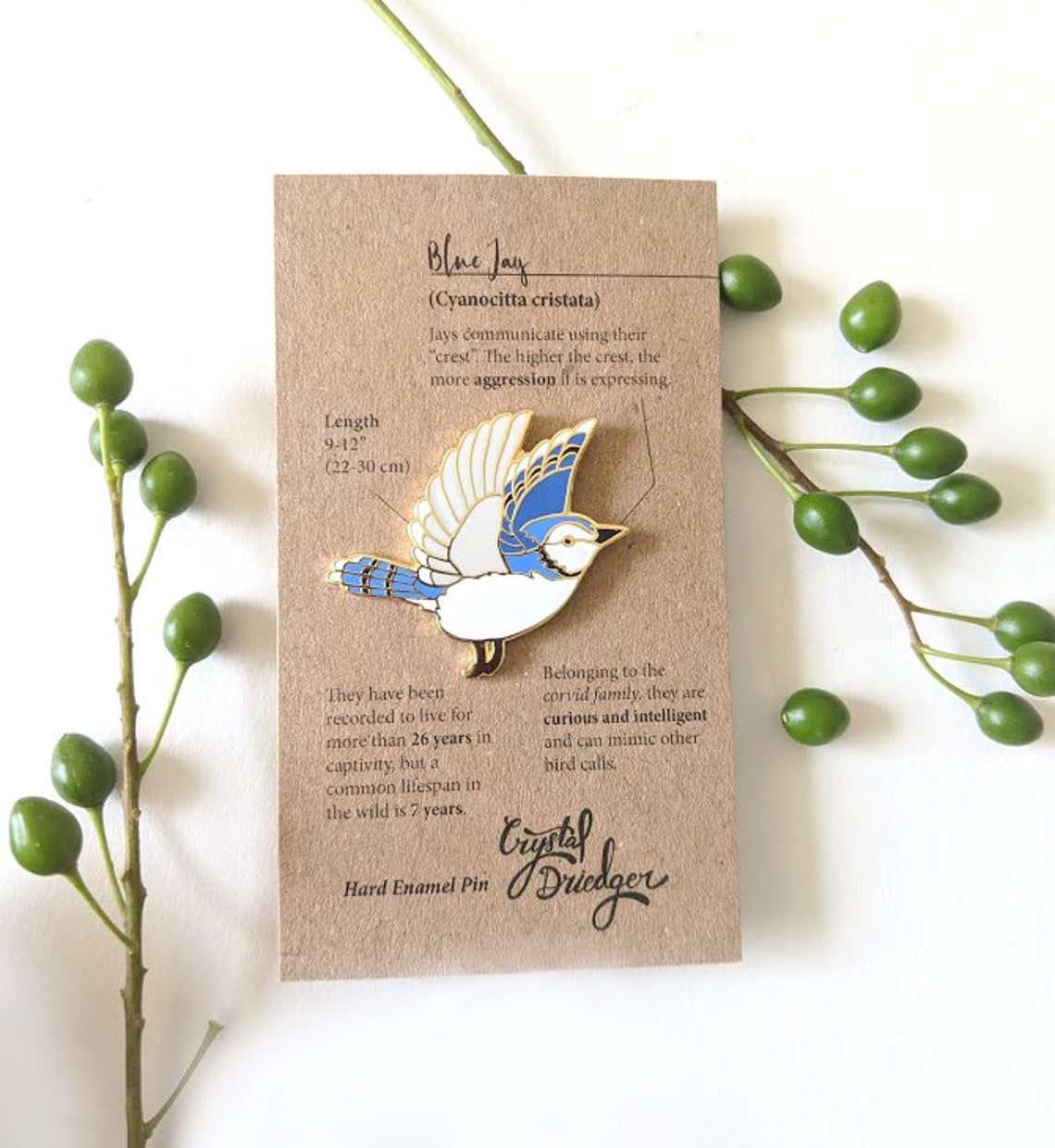 Blue Jay Hard Enamel Pin - Etsy
