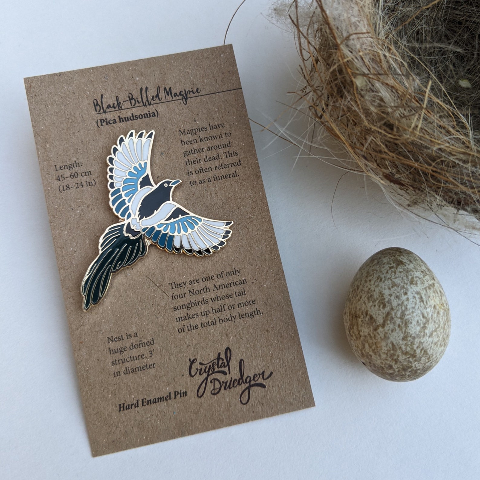 Magpie Hard Enamel Pin - Etsy