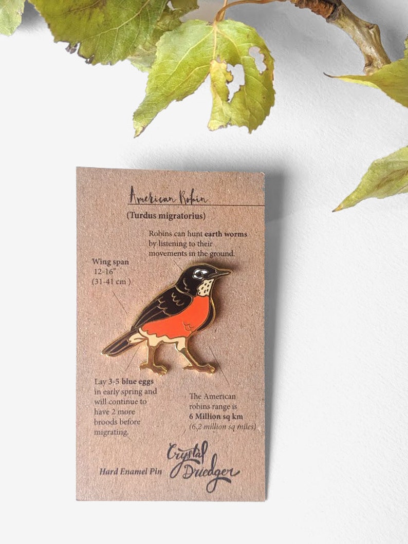 American Robin - Hard Enamel Pin in Gold - Etsy