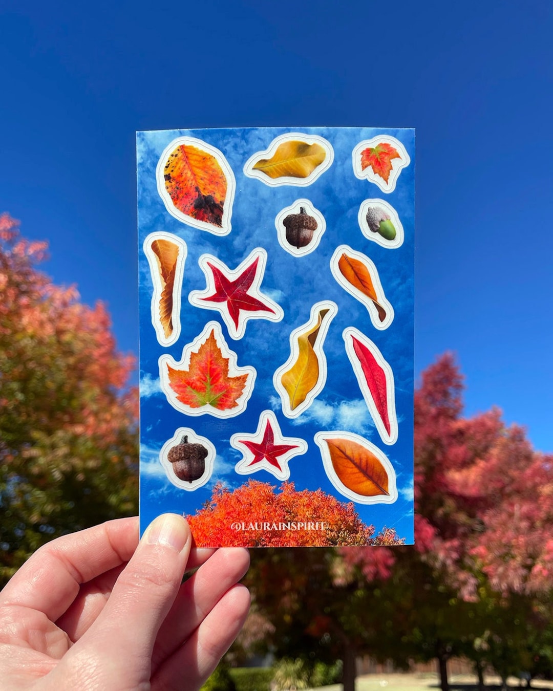 Autumn Leaves 4x6 Sticker Sheet Vinyl Stickers Artist Fall November ...