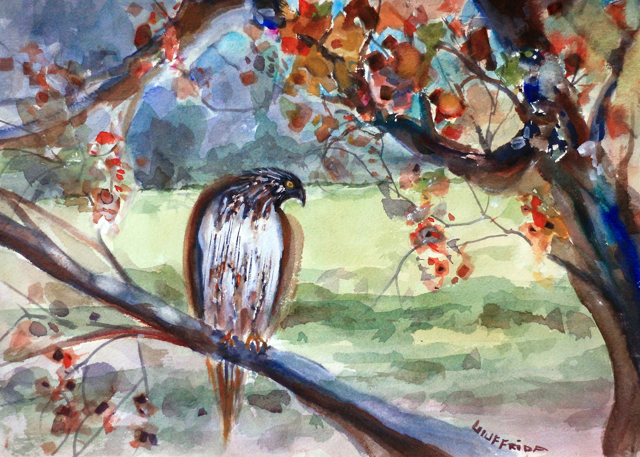 Hawk Painting Abstract