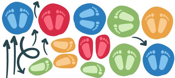 Sensory Jump Path – Floor Game Vinyl for Schools – Movement Circuit ...