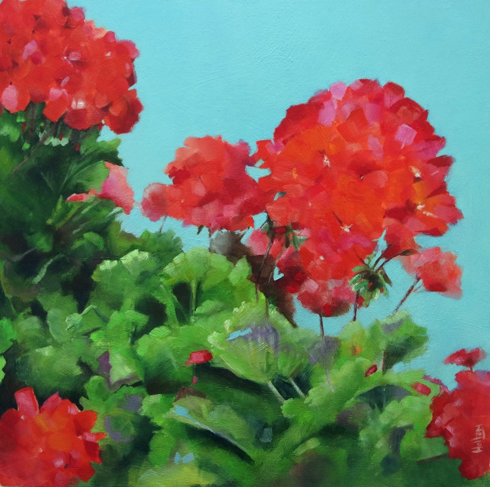 Original Oil Flower Painting of Geraniums, Floral Painting on Wood in ...