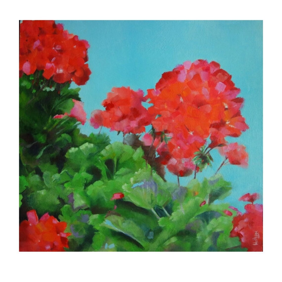 Original Oil Flower Painting of Geraniums Floral Painting on - Etsy