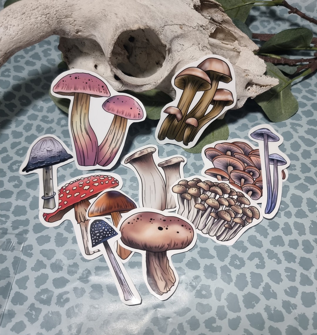 Mushroom Colour Stickers, 11 Pack, Gloss Waterproof Permanent Stickers ...