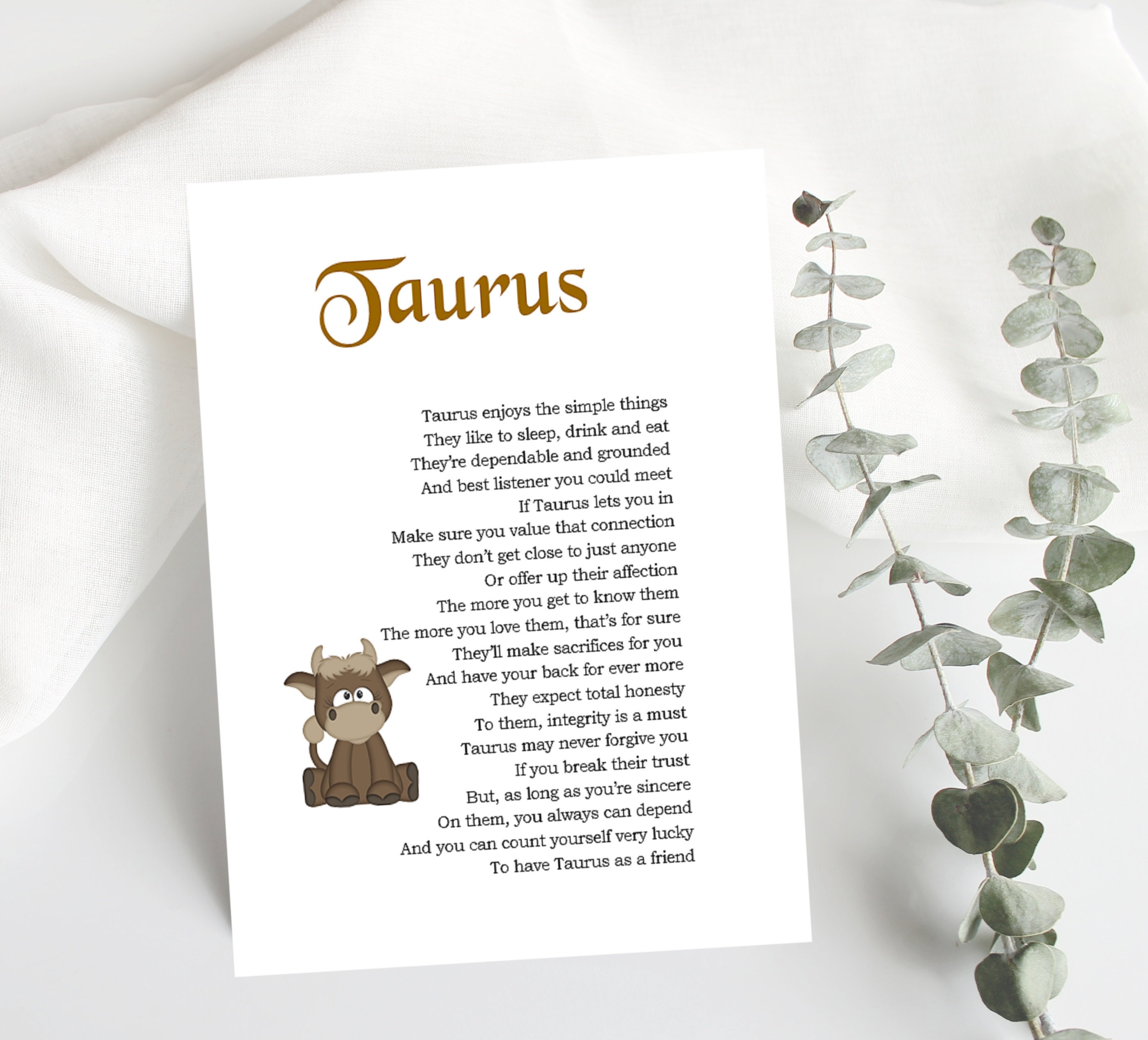Male Taurus Birthday