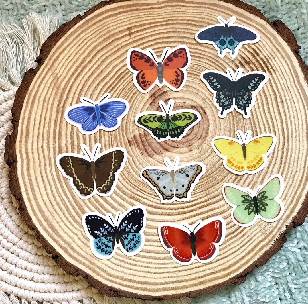 Butterfly Vinyl Sticker Set Car Decal for Her Water Bottle Clear ...