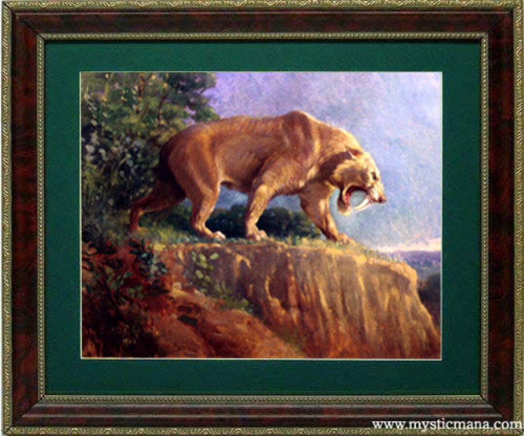 Sabertooth Tiger Framed Print Museum Mural - Etsy