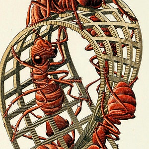 M.C. Escher Ants Infinity Print - Etsy