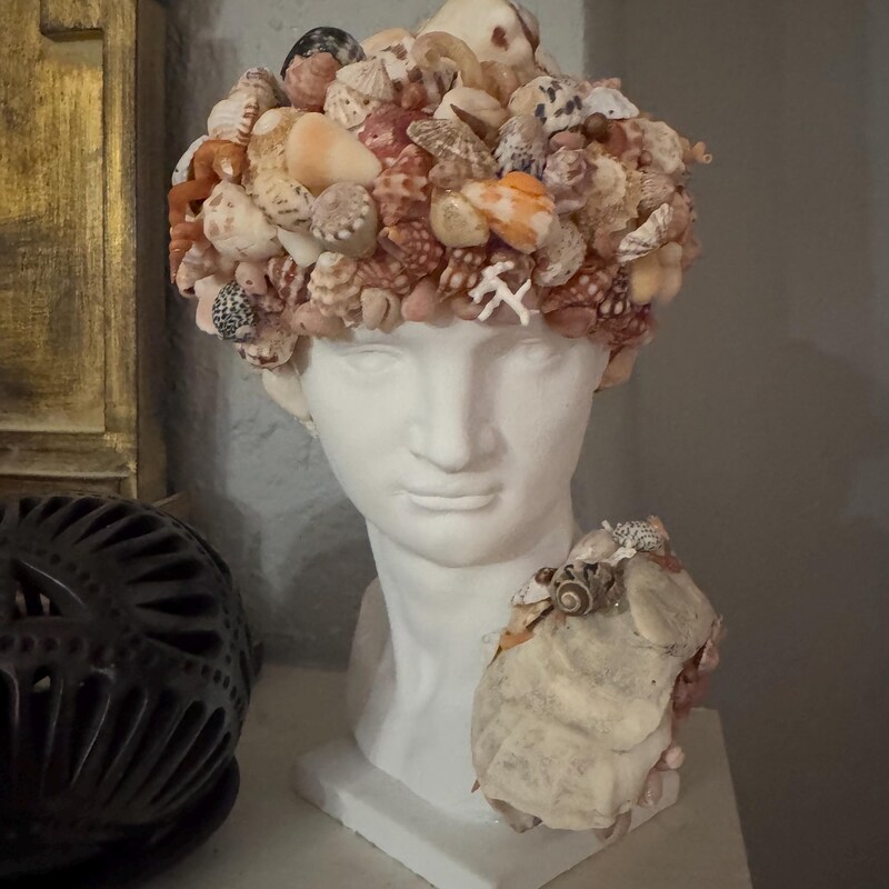 Shell Bust - Etsy