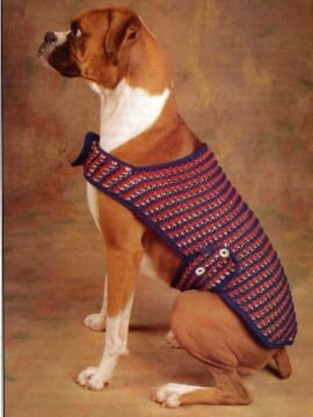 Vintage Crochet Pattern Tri-color Dog Sweater PDF Instant Digital ...