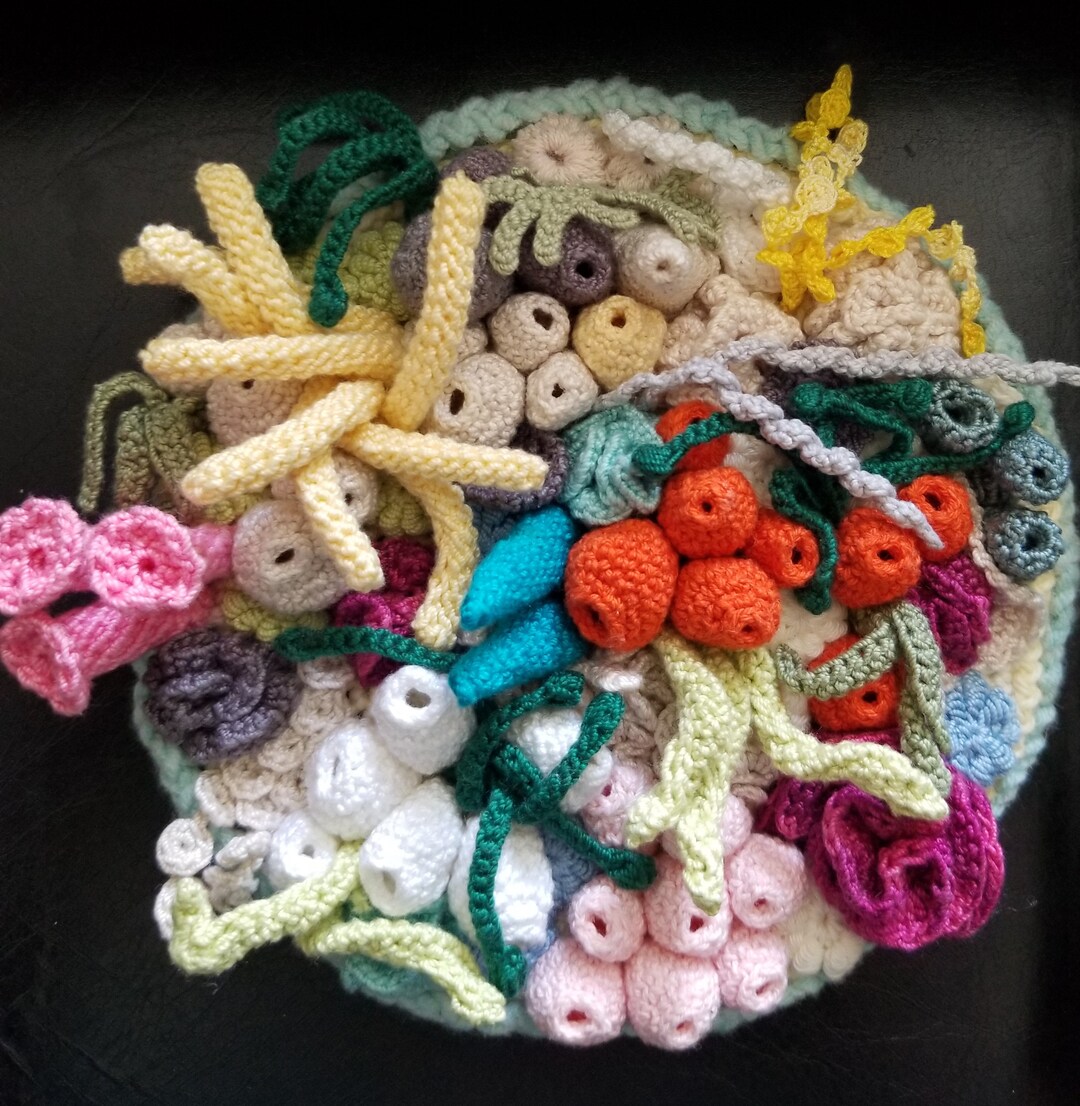 Tiny Colourful Crochet Coral Reef Sculpture - Etsy