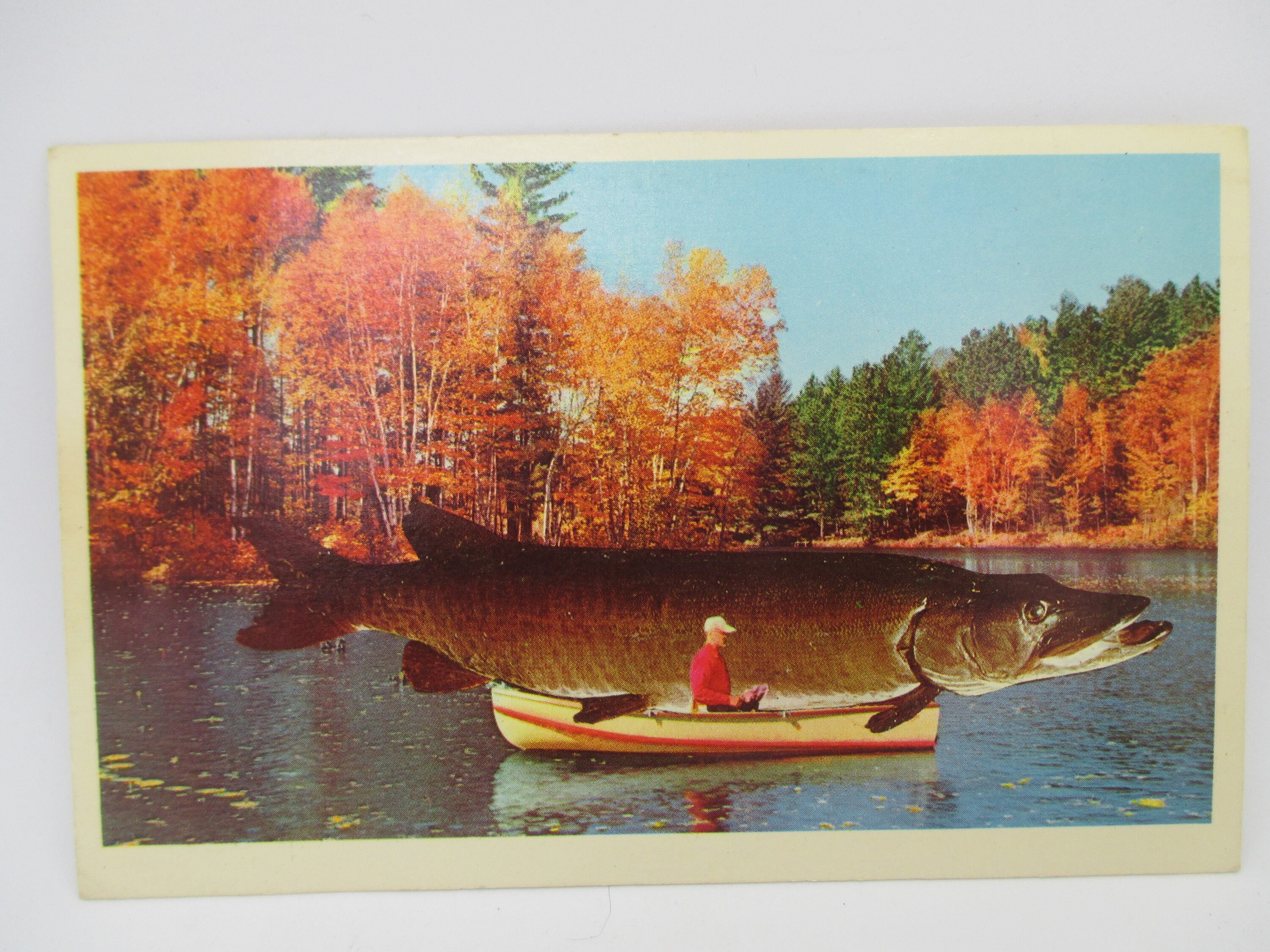 Vintage Fishing Postcards: Funny Fisherman Humor, 1950s-60s (set of 3 ...
