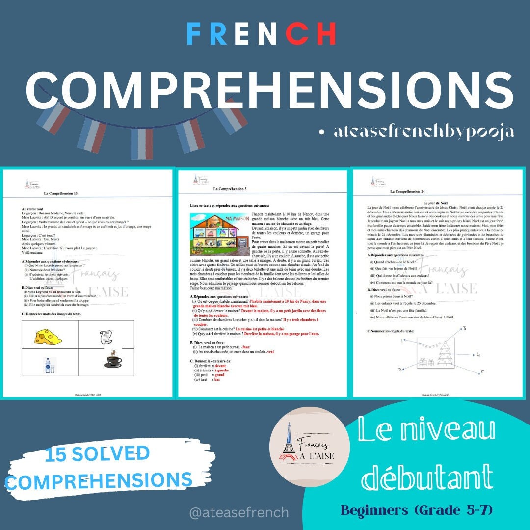 French Reading Comprehension Passages: Beginner Level (digital Download ...