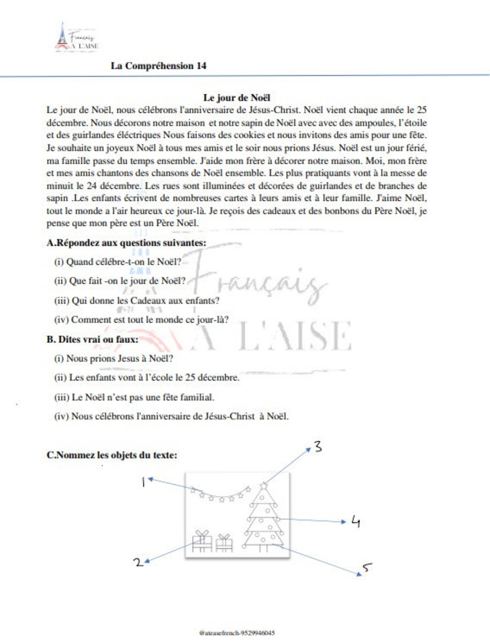 French Reading Comprehension Passages: Beginner Level (digital Download ...