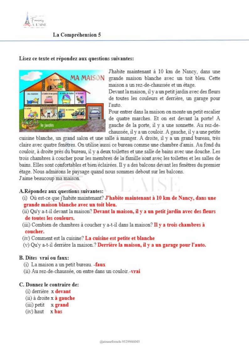 French Reading Comprehension Passages: Beginner Level (digital Download ...