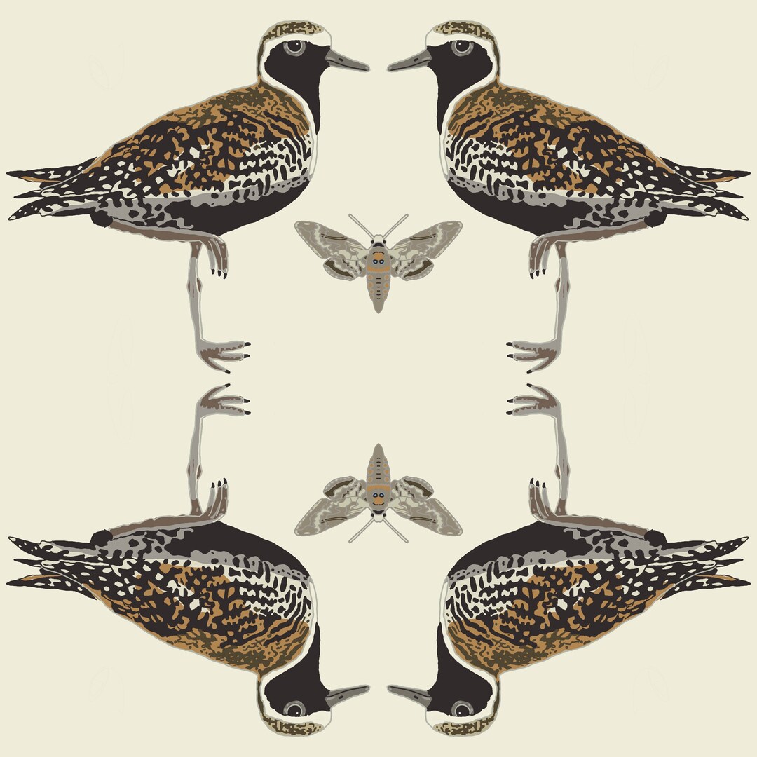 Kolea Golden Plover Art Print | Hawaiian Bird, Limited Edition - Etsy