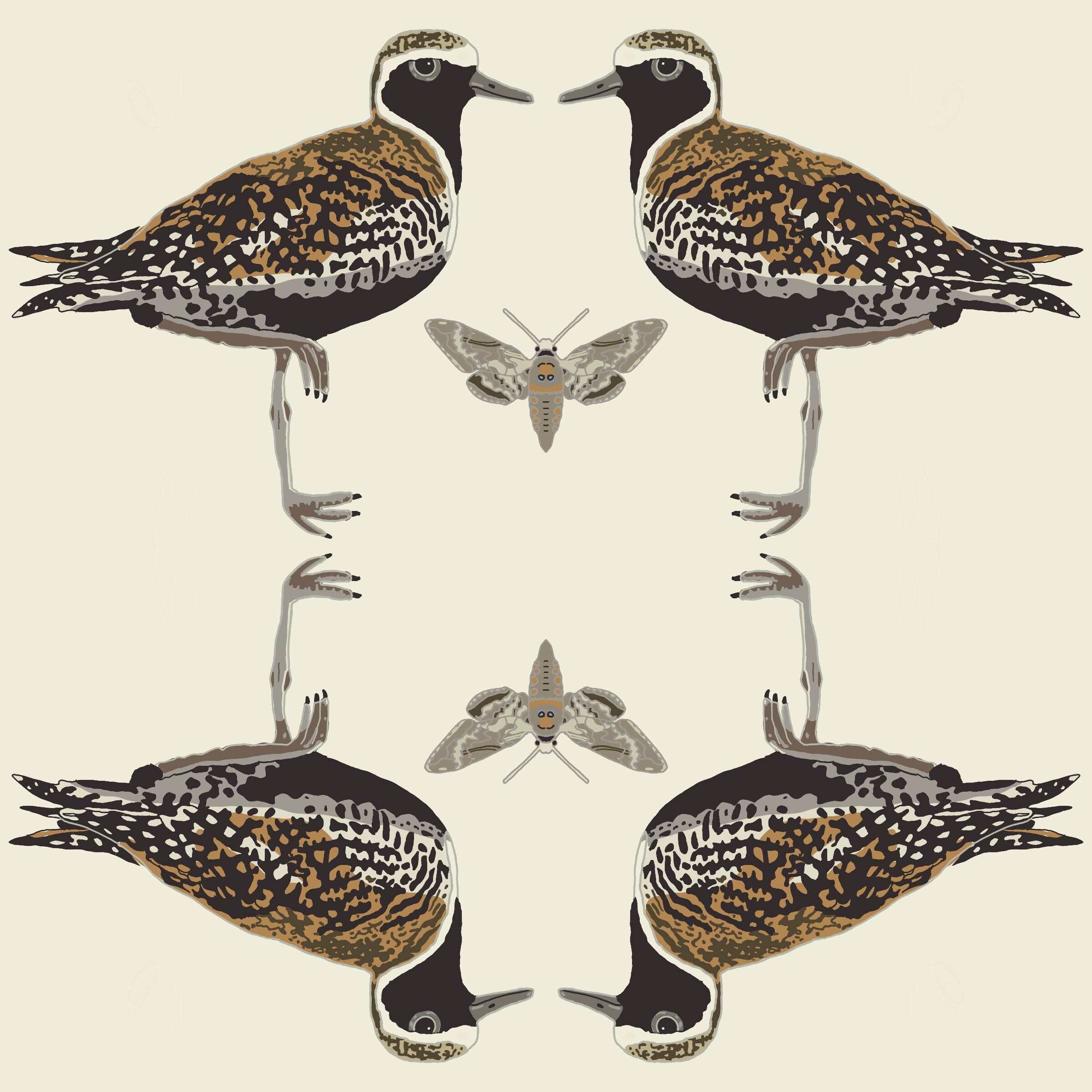 Kolea Golden Plover Art Print | Hawaiian Bird, Limited Edition - Etsy