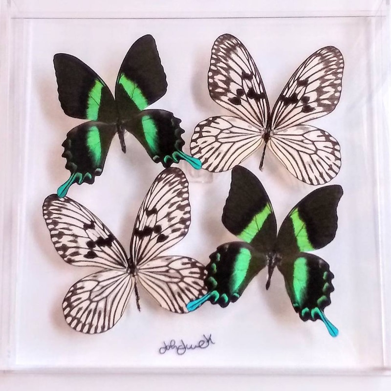 Lucite Box Frame - Etsy