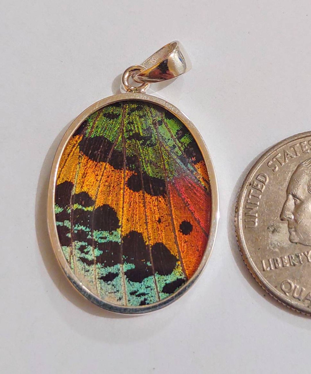 Butterfly Wing Jewelry, Real Butterfly, Butterfly Wing Pendant ...