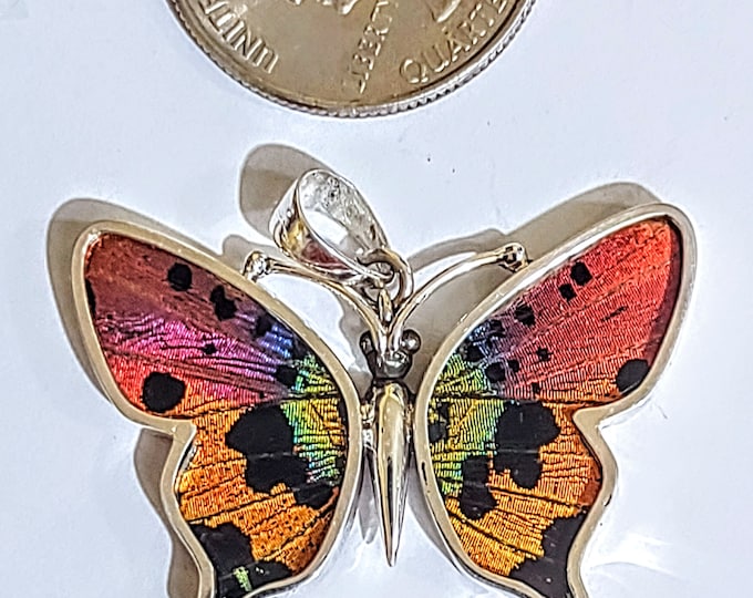 Butterfly Wing Jewelry, Real Butterfly, Butterfly Wing Pendant ...
