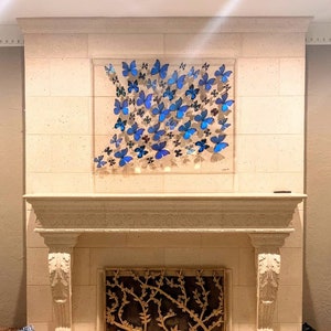 20x30 Mounted Butterflies, Real Butterfly, Butterfly Display, Framed ...