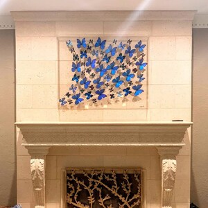 60x25" Double Panel Display, Butterfly Display, Framed Butterflies ...