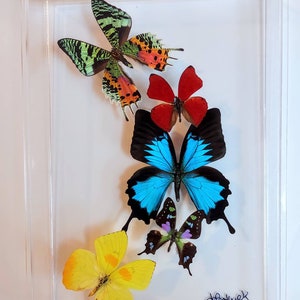 Butterfly Art - Etsy