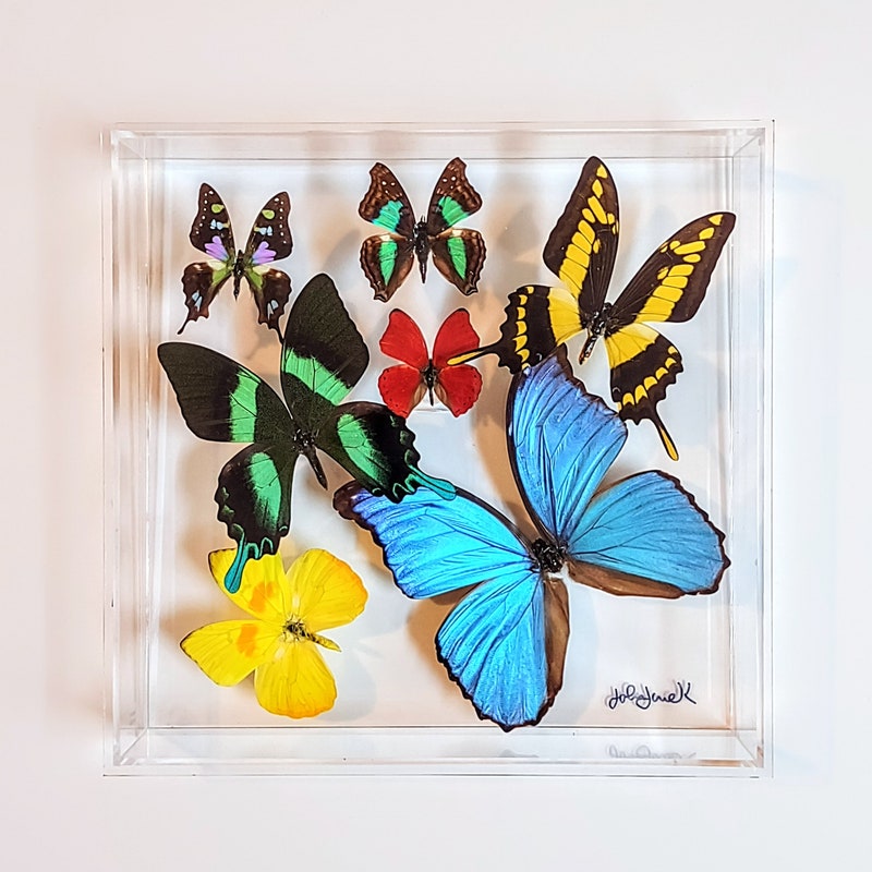 Lucite Box Frame - Etsy