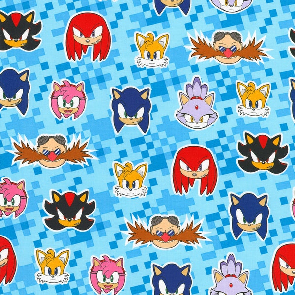 Sonic the Hedgehog Sleeping Bag - Etsy