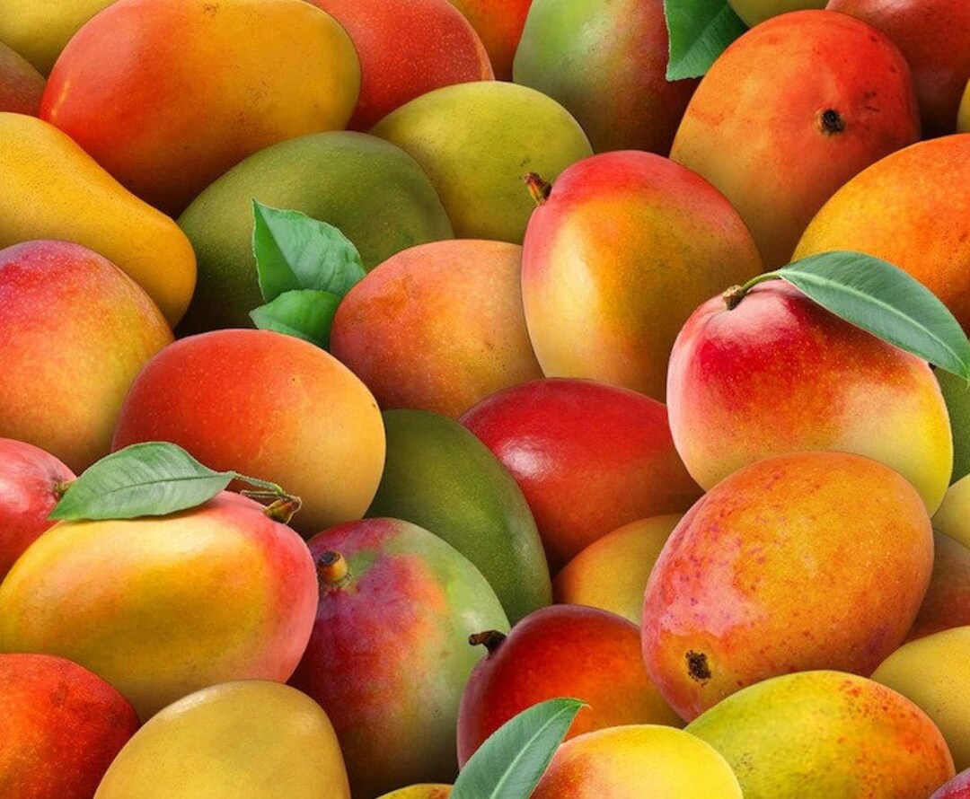 Mango :hedgehog Guinea Ferret Rat Sugar Glider Snuggle Bag Sleeping Bag ...