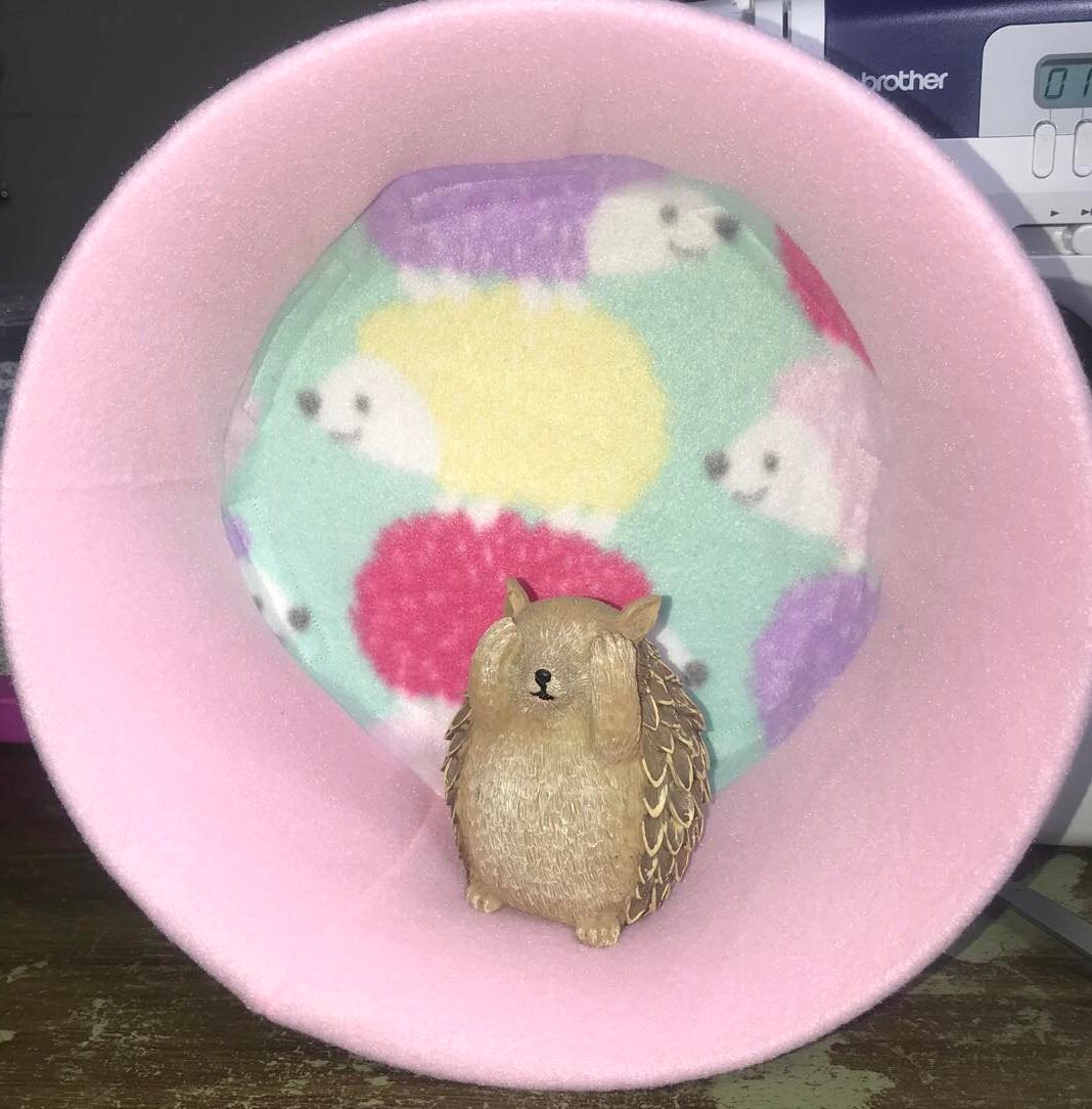 Hedgehog Poop On Wheel