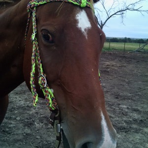 Cob Size Braided Paracord Headstall,custom Braided Horse Tack,custom ...