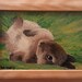 Custom Wildlife Painting, Custom Animal Painting, Animal Portrait, 8X10 ...