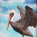 Custom Wildlife Painting, Custom Animal Painting, Animal Portrait, 8X10 ...