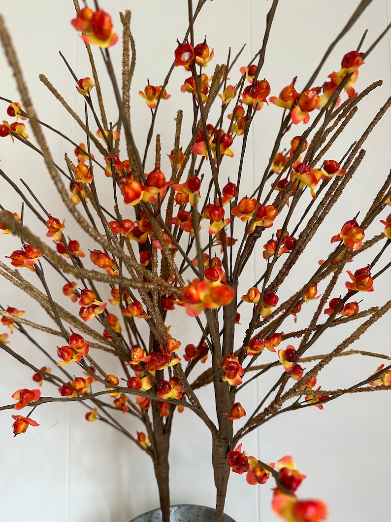 Faux Bittersweet Stems: 29" Fall Decor Twig Sprays (pair) - Etsy