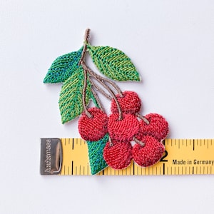 Small Fruit Iron on Patches, Cherry Mango Plum Pear Orange Lemon ...