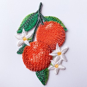 Small Fruit Iron on Patches, Cherry Mango Plum Pear Orange Lemon ...