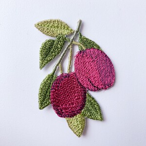 Small Fruit Iron on Patches, Cherry Mango Plum Pear Orange Lemon ...