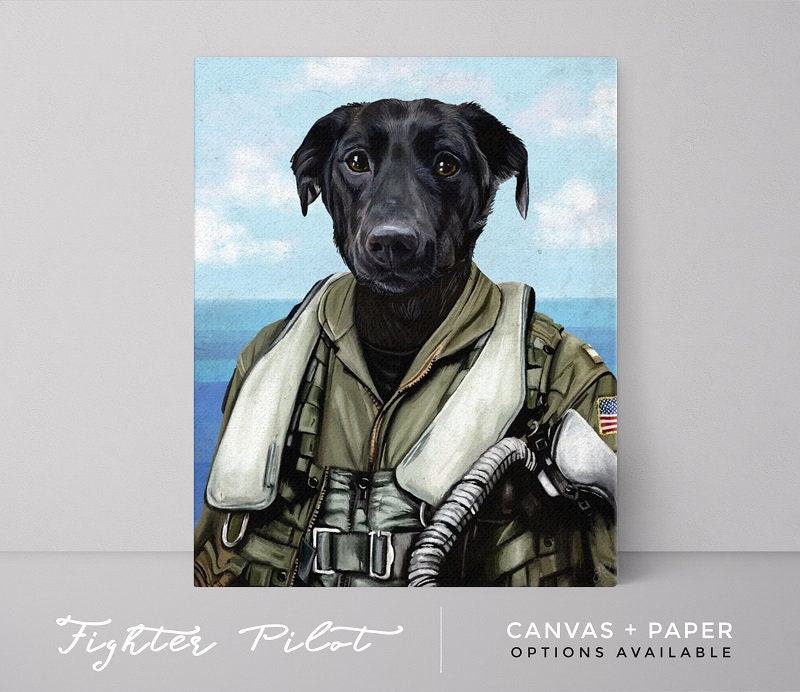 Fighter Pilot Pet Portrait, Custom Pet Portrait, Pet Portraits ...