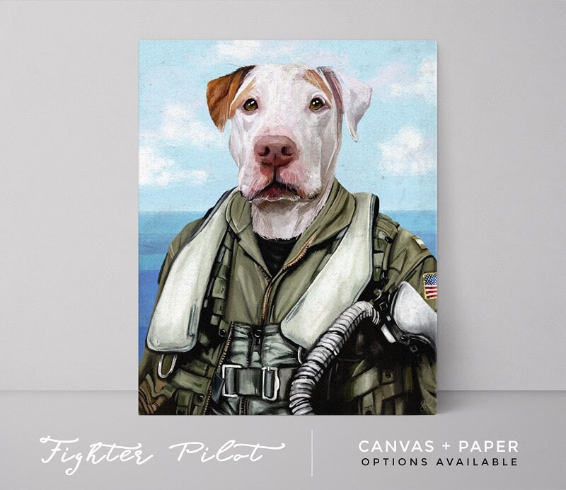 Fighter Pilot Pet Portrait, Custom Pet Portrait, Pet Portraits ...