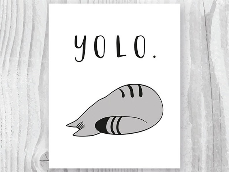 Yolo Funny Cat Illustration Printable Inspirational Quote - Etsy